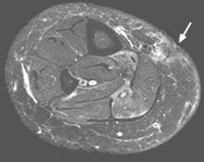 Internet Scientific Publications